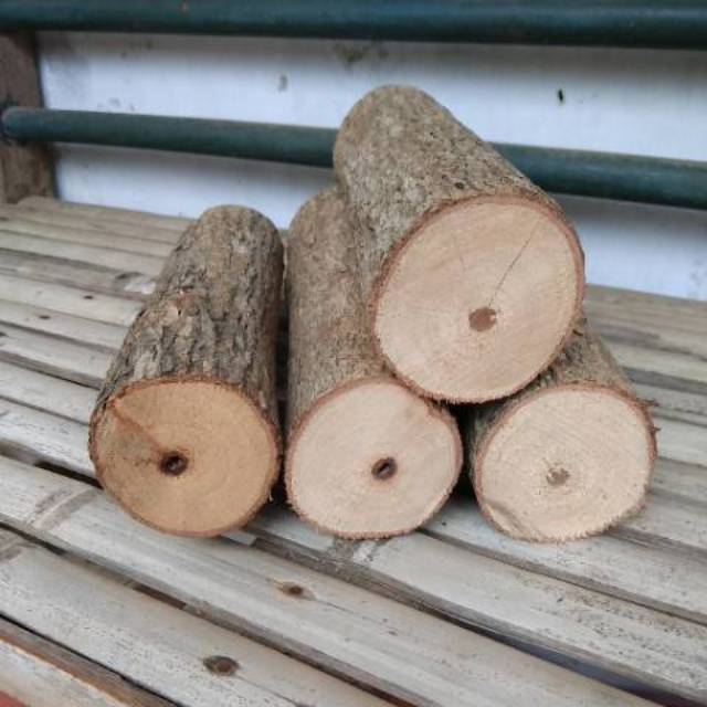 Jual Kayu bidara Madinah original 1 kg | Shopee Indonesia