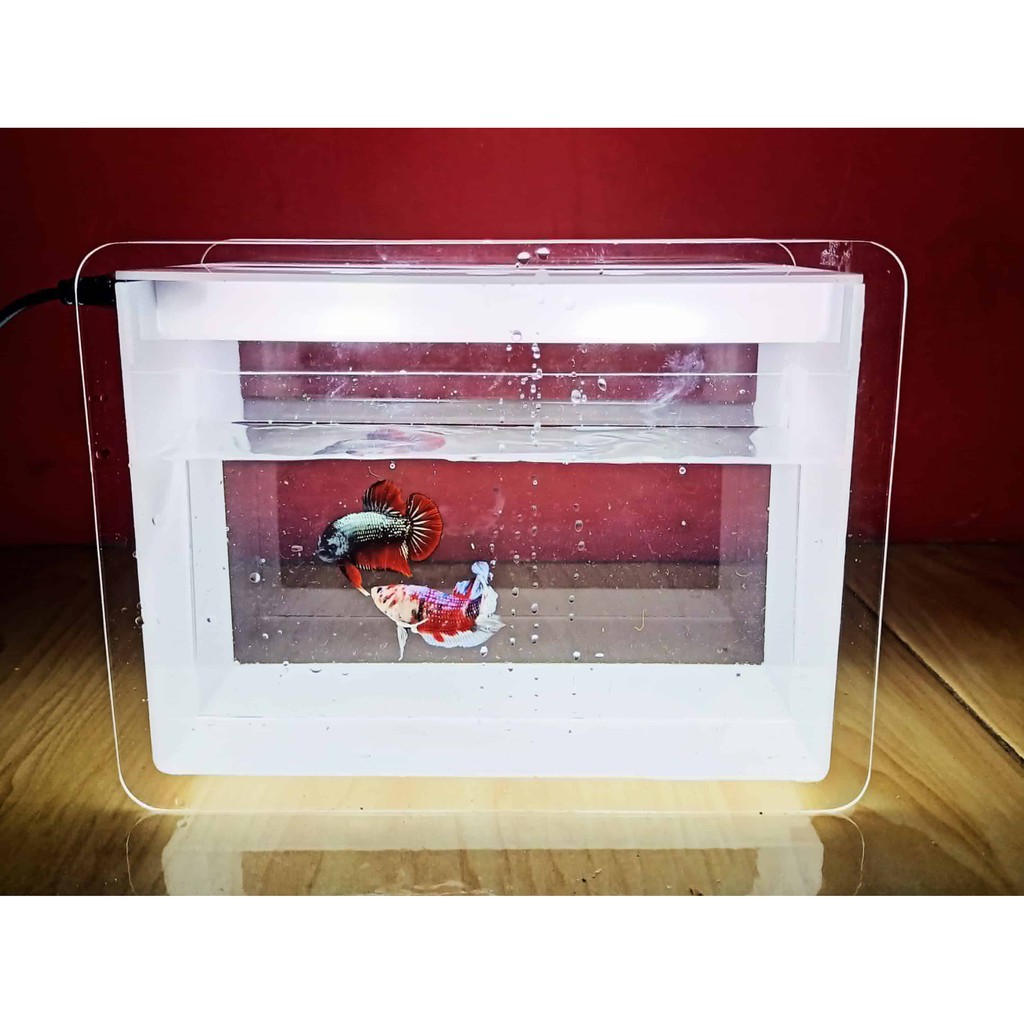 Jual (SIAP KIRIM) Soliter Akrilik Poseidon LED2 White - SOLITER ...