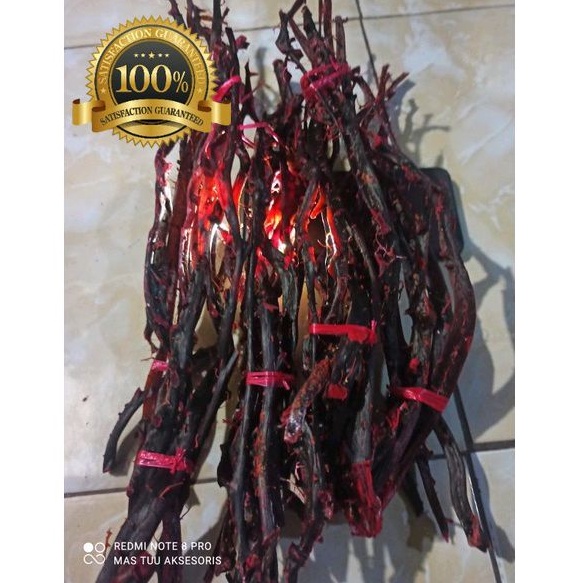 Jual Bahan akar bahar merah cristal tembus cahaya 1 iket isi 5 batang ...