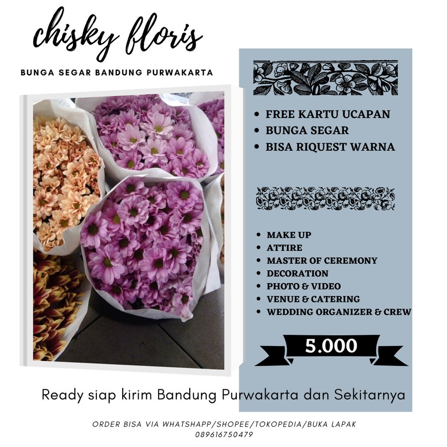 Jual BUNGA BABY ASTER BUNGA HIDUP SEGAR | Shopee Indonesia