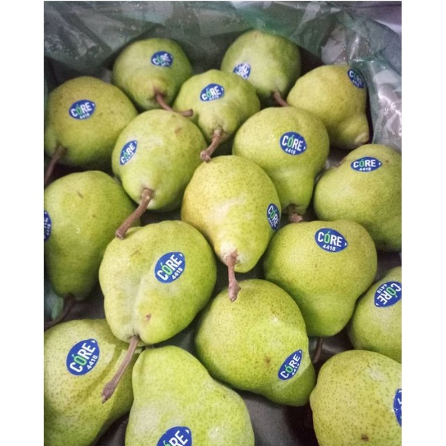 Jual Pear Packham Pir Jambu Hijau | Shopee Indonesia