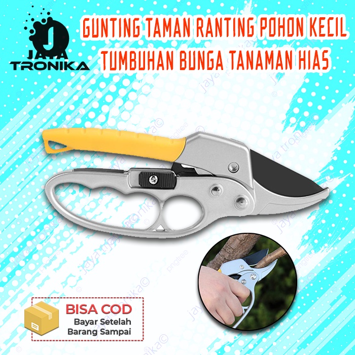 Jual GUNTING TAMAN RANTING POHON KECIL TUMBUHAN BUNGA DALAM POT TANAMAN ...