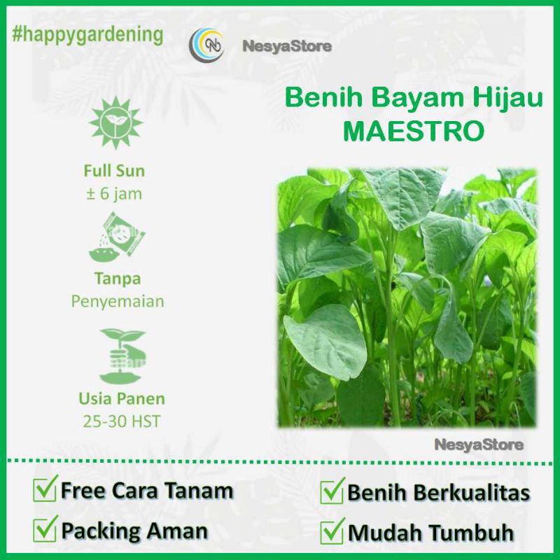 Jual 1000 Benih Bayam Hijau Maestro - Bibit Benih Sayuran | Shopee ...