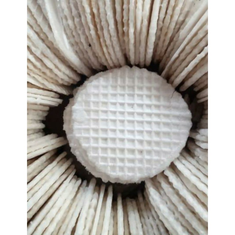 Jual Keripik Simping kencur 250gram | Shopee Indonesia