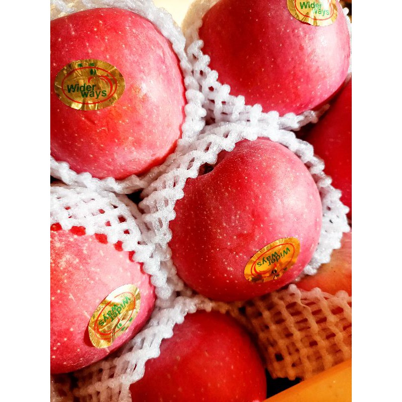 Jual APEL FUJI Premium blush | Shopee Indonesia