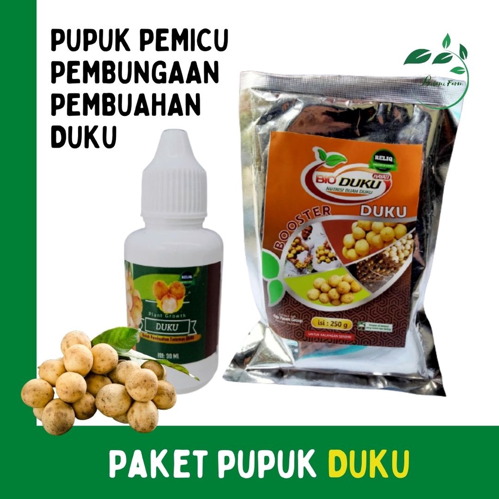 Jual Pupuk Tanaman Duku Agar Cepat Berbuah, Pupuk Budidaya Buah Duku ...