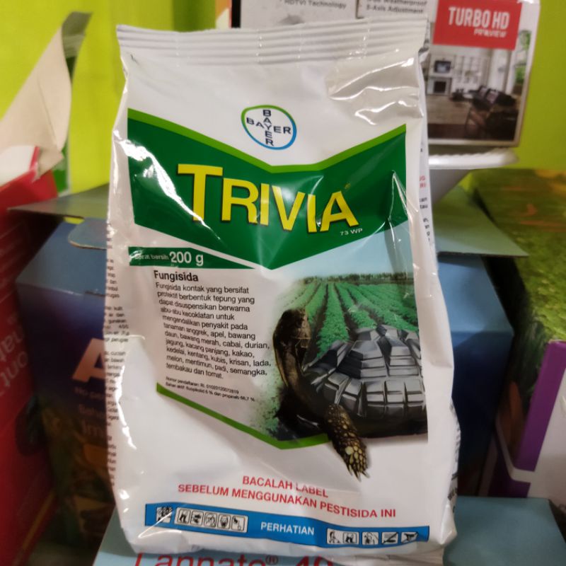 Jual FUNGSI TRIVIA 200 GRAM | Shopee Indonesia