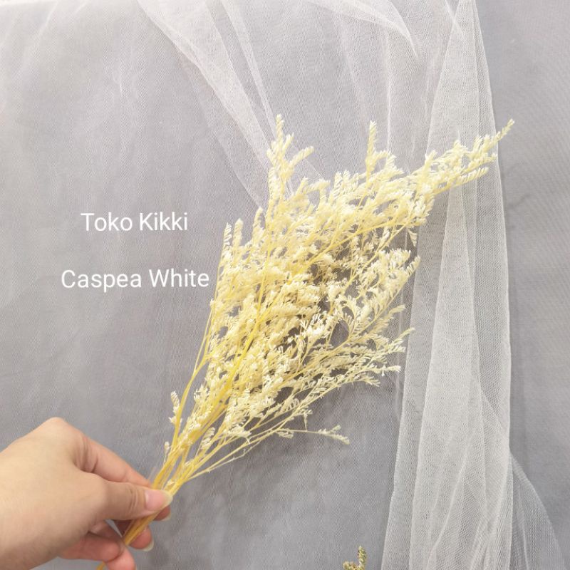 Jual 1 ikat Limonium Caspea Bunga Kering Dried Flower Bunga | Shopee ...