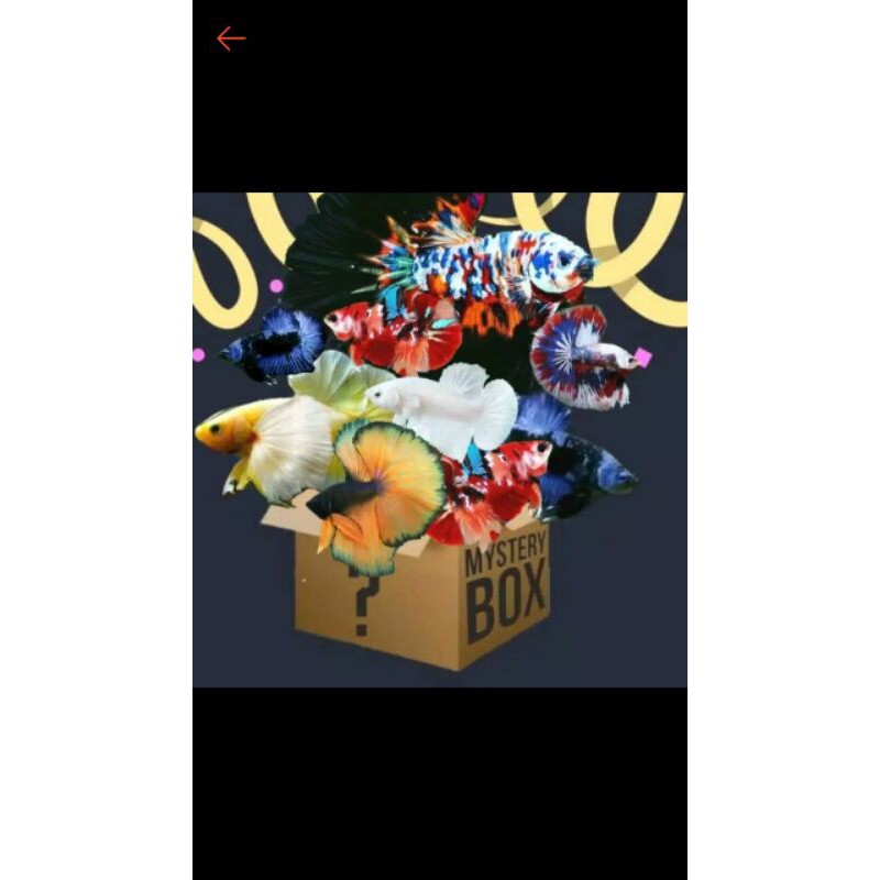 Jual box misteri fish | Shopee Indonesia