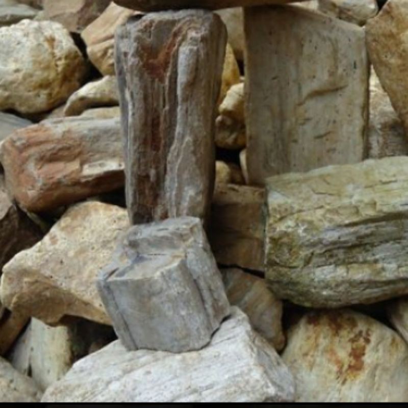 Jual batu fosil kayu | Shopee Indonesia