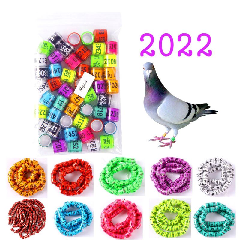 Jual 1 RING MERPATI IMPORT ASLI 2022 - CINCIN MERPATI CINCIN BURUNG ...