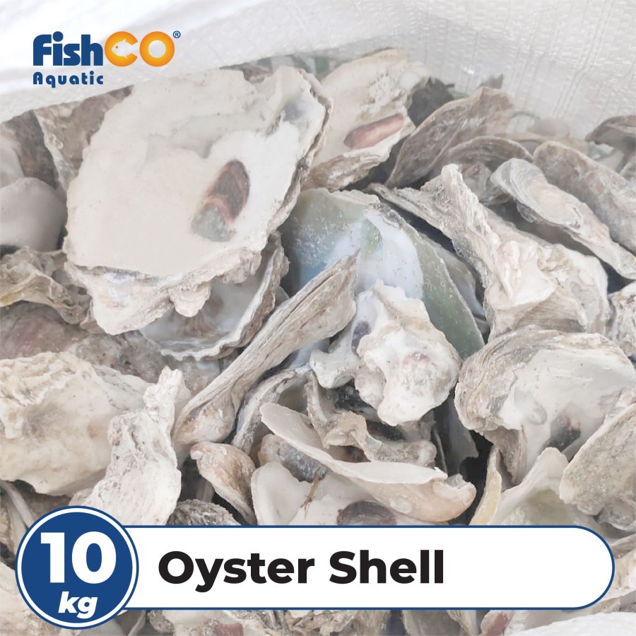 Jual Media Filter Aquarium Kerang Oyster Shell Cangkang Tiram Karungan ...