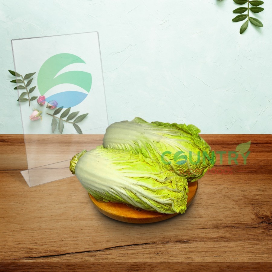 Jual [1KG] Chinese Cabbage / Kol China / Kubis China | Sawi putih - 1kg ...