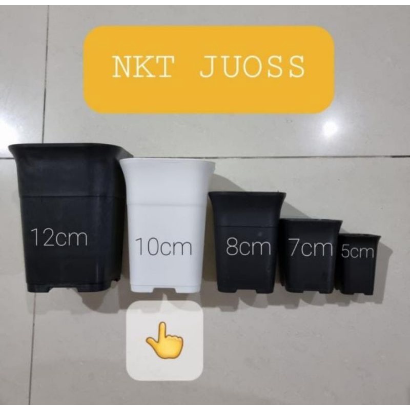 Jual pot bunga | pot kotak 10 cm | POT NKT | Shopee Indonesia