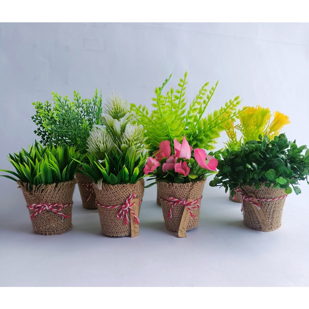 Jual Artificial Bunga Tanaman Pot Kain Goni Mini Daun Rumput Souvenir ...