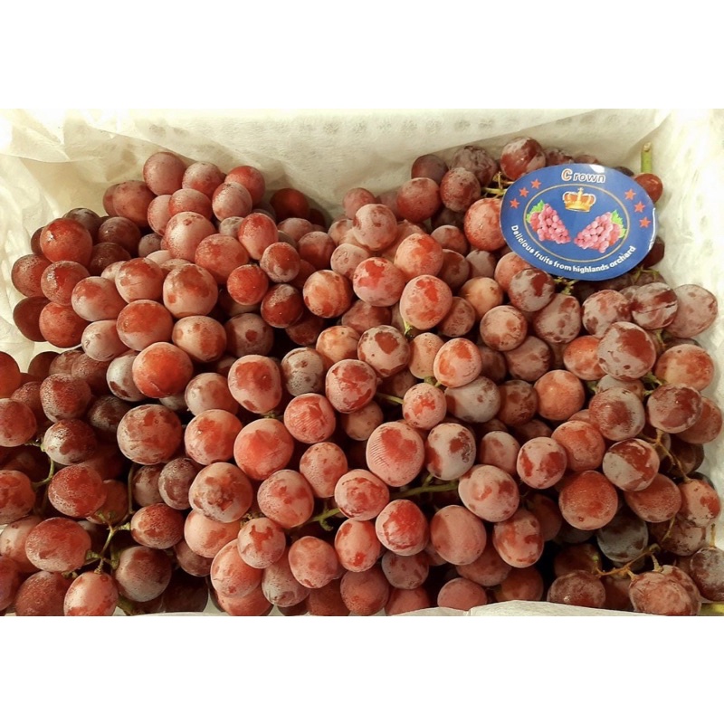 Jual Anggur merah Red Globe [ 250 gram ] | Shopee Indonesia