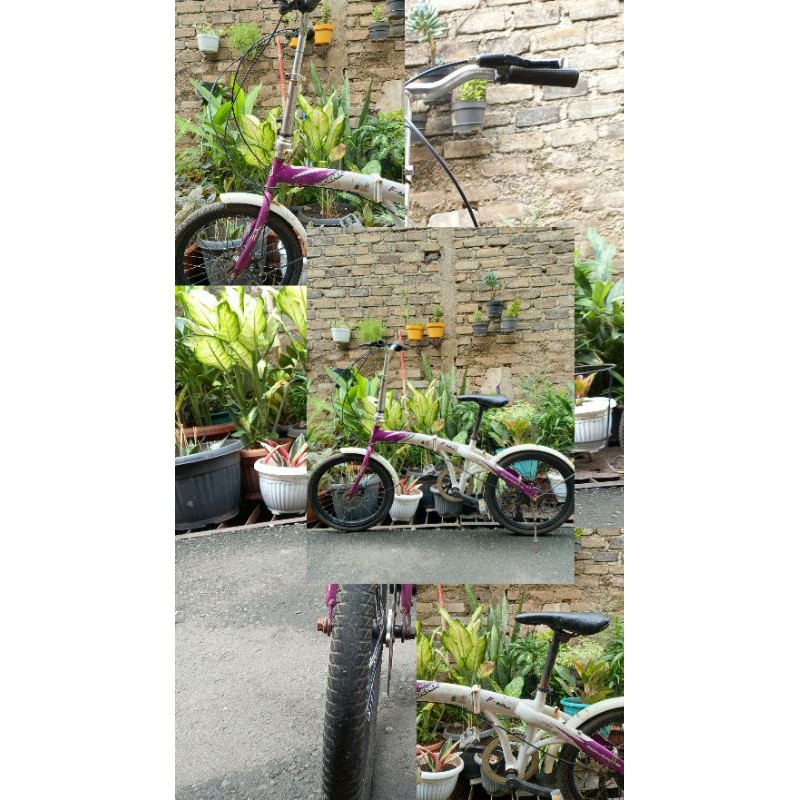 Jual SepedaPHOENIX | Shopee Indonesia