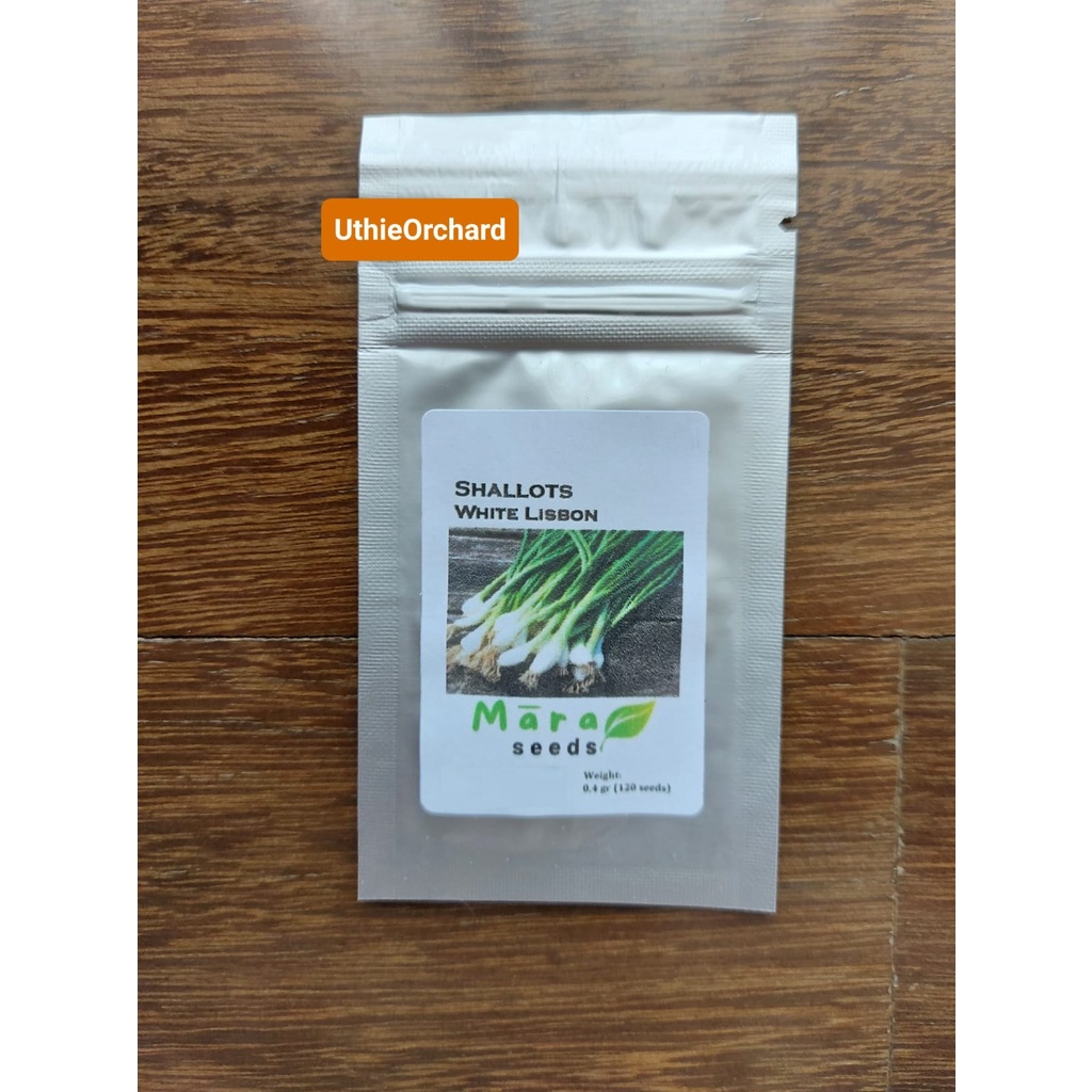 Jual Mara Seeds - Shallots (Scallion/Daun Bawang) White Lisbon (120 ...