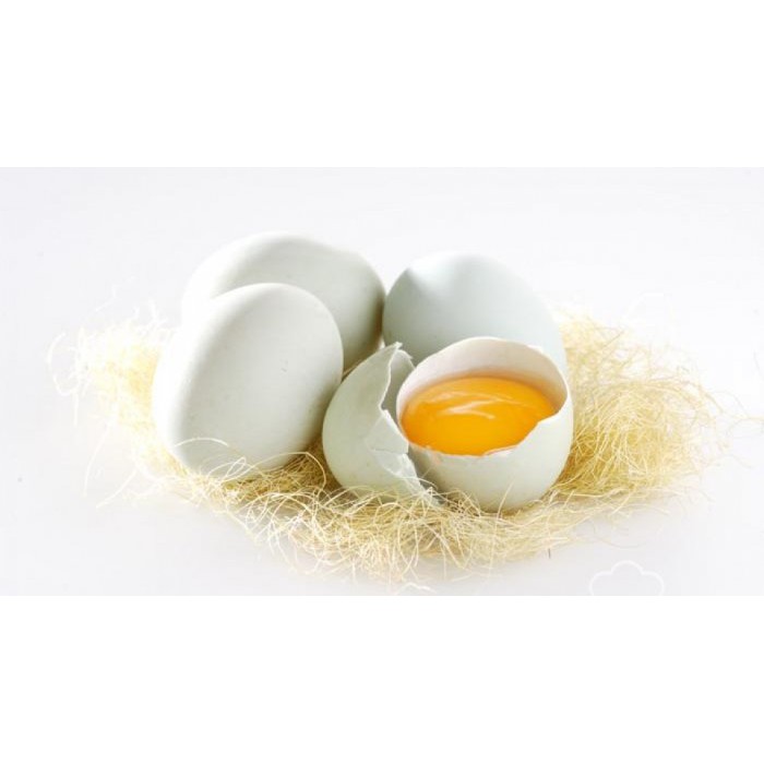 Jual Telur - Bebek (1 butir) | Shopee Indonesia