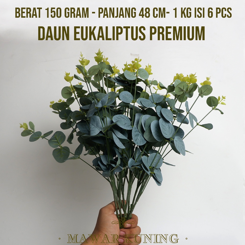 Jual [ 4 Tangkai & 5 Tangkai ] Artifisial Daun Eukaliptus Premium Sutra ...