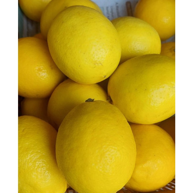 Jual PROMO Lemon segar/1kg | Shopee Indonesia