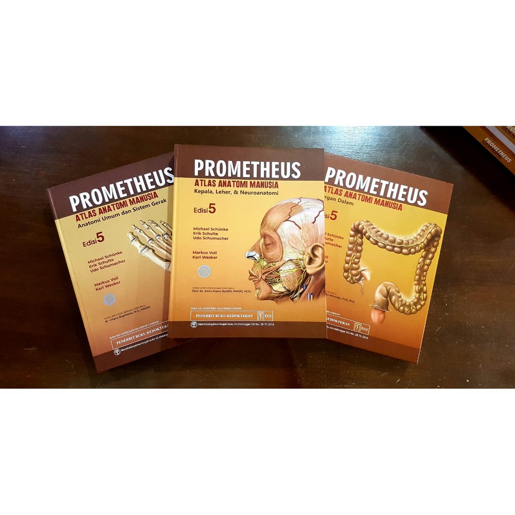 Jual PROMETHEUS Atlas Anatomi Manusia Edisi 5 - Paket 3 buku - ORIGINAL ...
