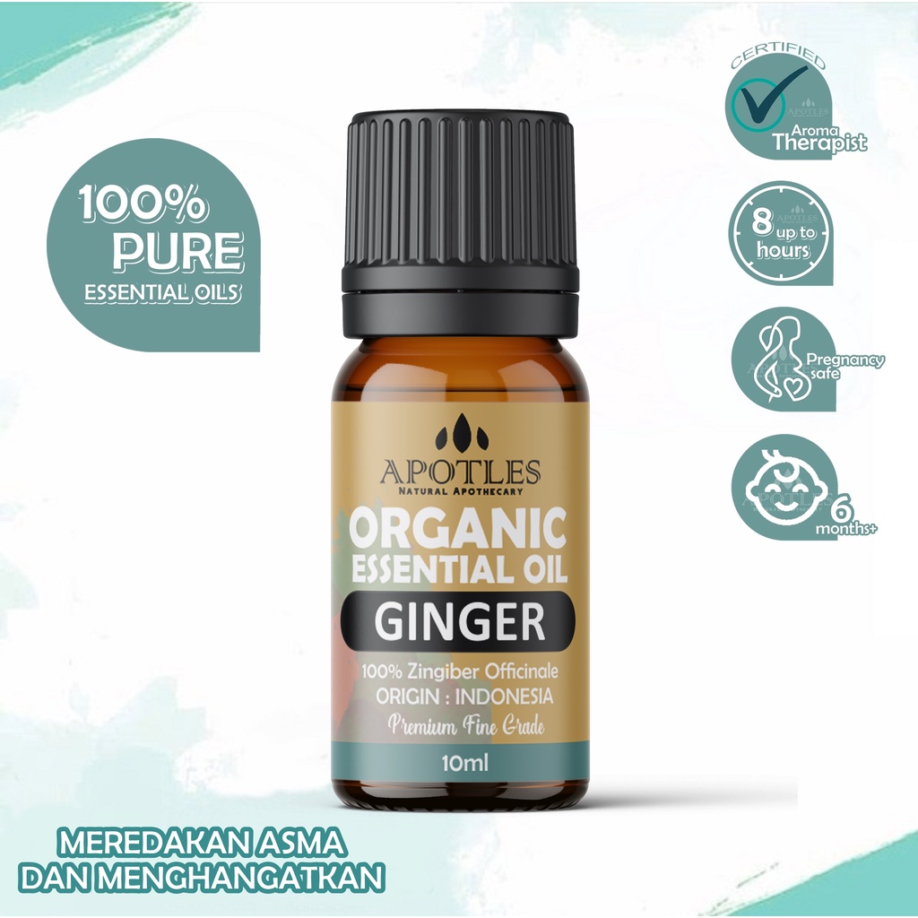 Jual Ginger Essential Oil - Minyak Aromaterapi Jahe Murni Ginger Pure ...