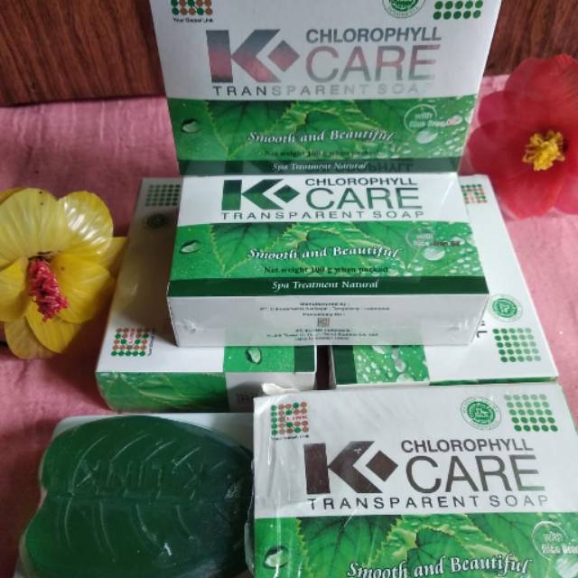 Jual SABUN CHLOROPHYLL ( beli 2 free ongkir ) | Shopee Indonesia