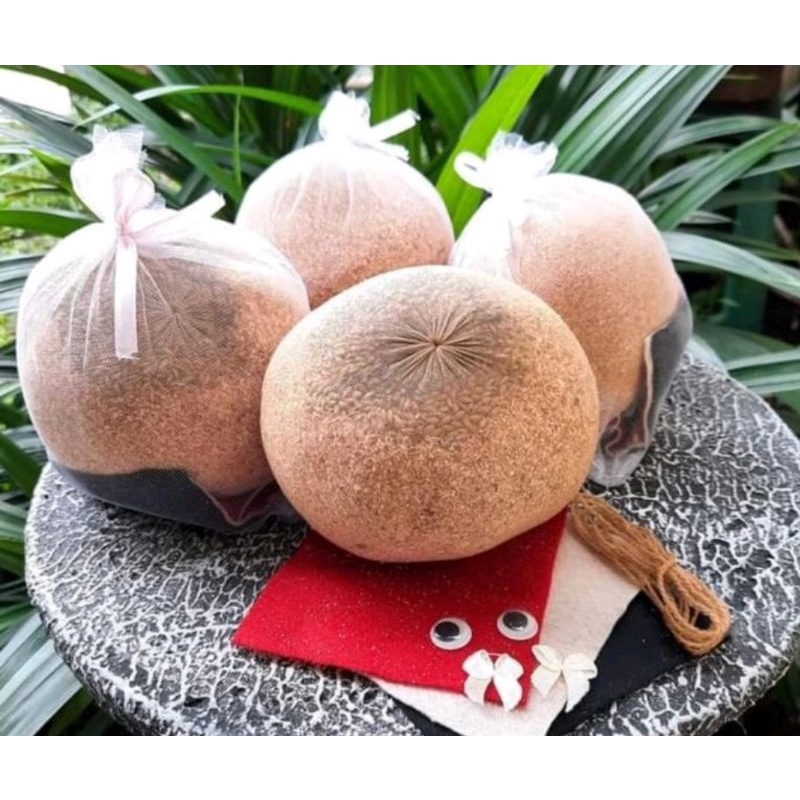Jual Paket Edukasi Membuat Boneka Rumput Horta | Kids Activity Kit ...