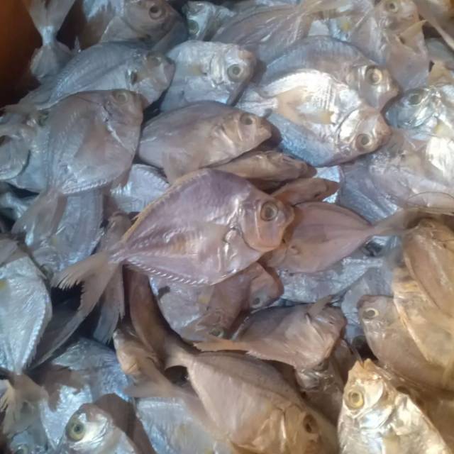 Jual Ikan asin pepetek 500gr pasar citeureup | Shopee Indonesia