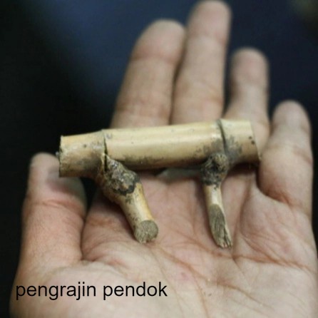 Jual Bambu Pethuk Antik paling mewah | Shopee Indonesia