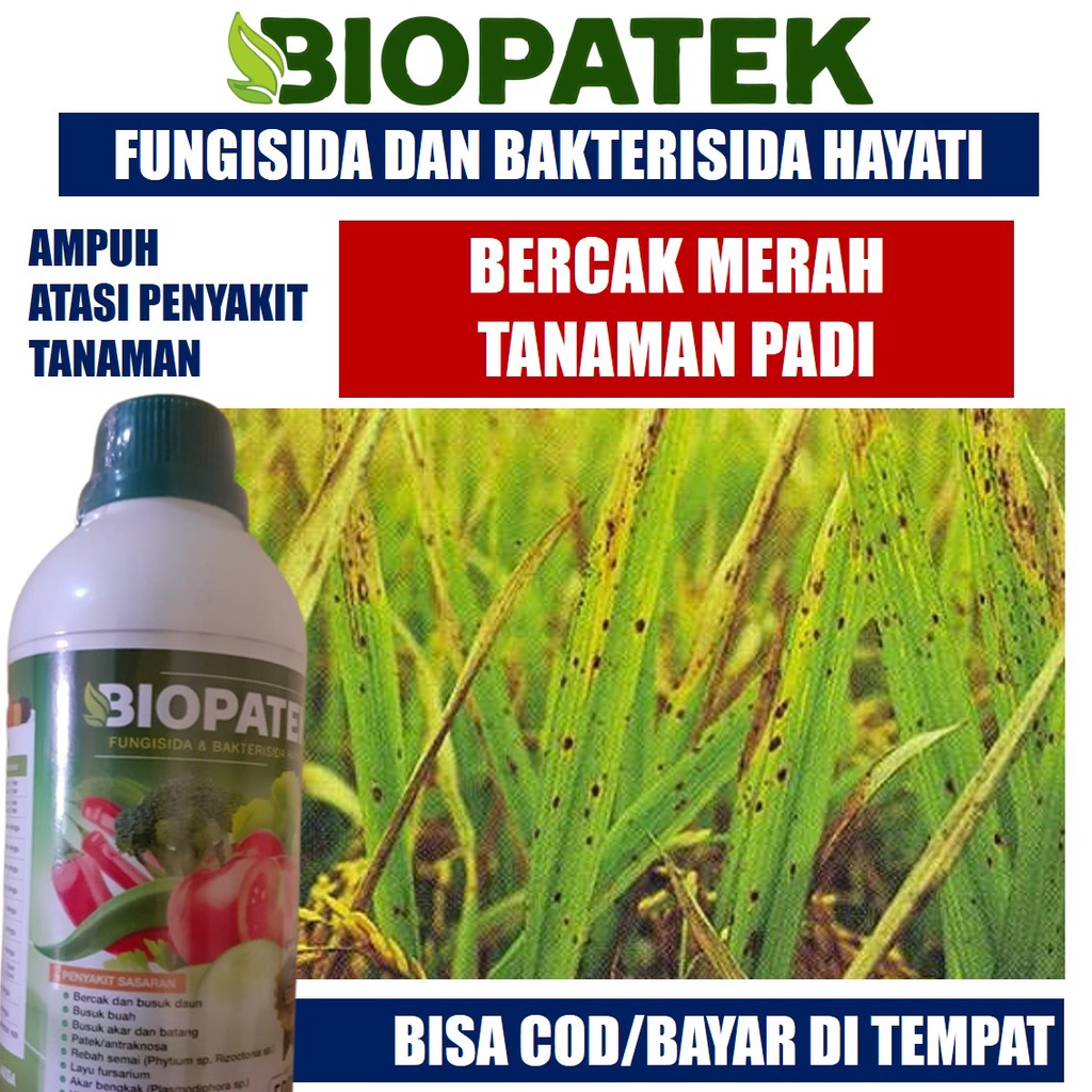 Jual Fungisida BIOPATEK 500 ML / Obat Bercak Merah Padi / Untuk Mengendalikan Penyakit Merah ...