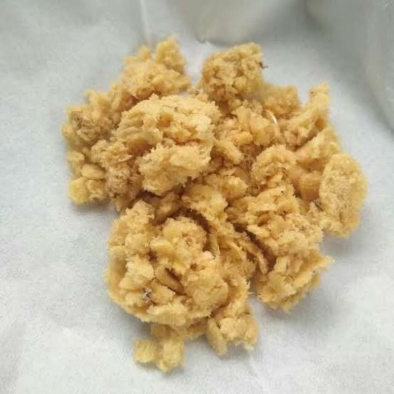 Jual Telur maggot BSF | Shopee Indonesia