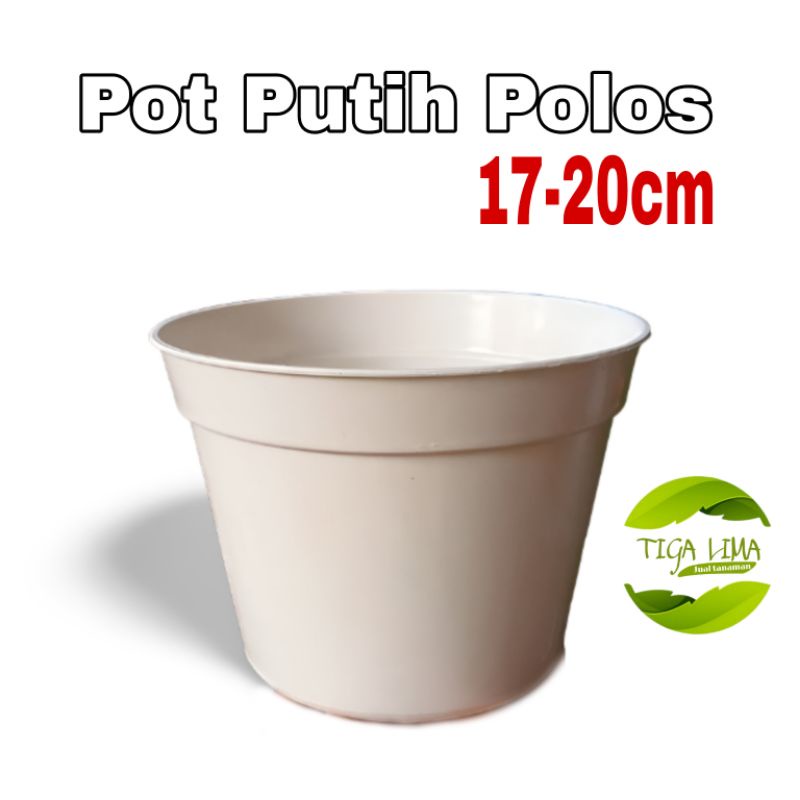 Jual pot plastik putih polos/pot tanaman 17-20cm | Shopee Indonesia