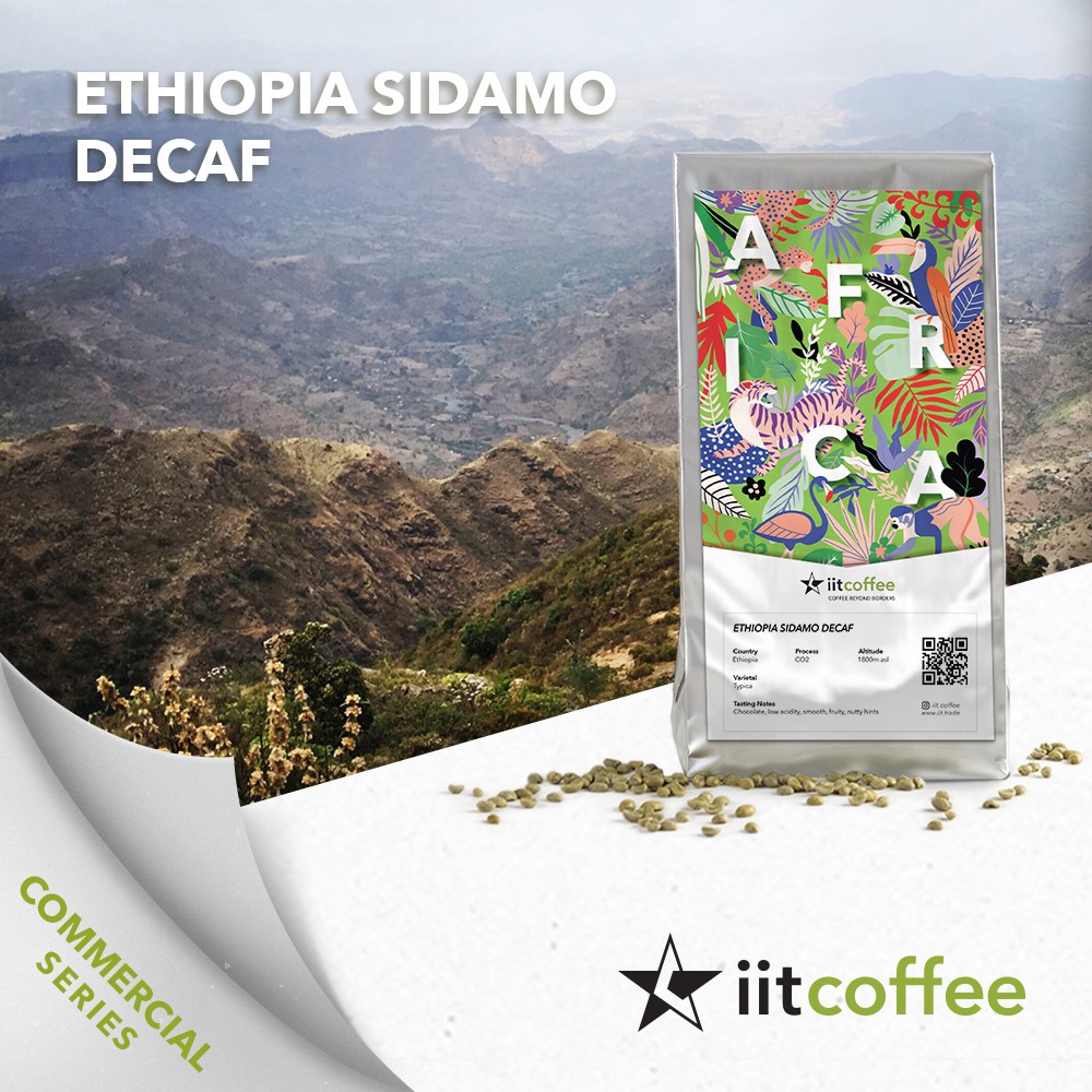 Jual Arabica Green Beans - Ethiopia Sidamo Decaf - 1Kg | Shopee Indonesia