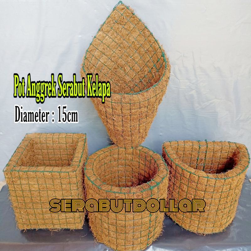 Jual POT TANAMAN BUNGA ANGGREK SERABUT SABUT KELAPA COCOFIBER | Shopee ...