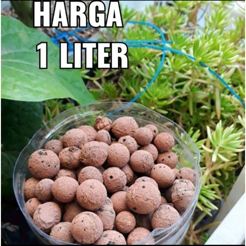 Jual media tanam hidroton jerman,hydroton 1 liter, hidroponik | Shopee ... Jual media tanam hidroton jerman,hydroton 1 liter, hidroponik | Shopee ...