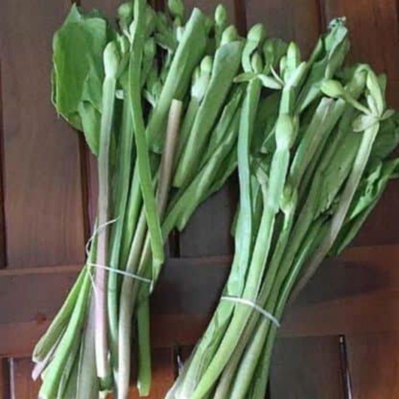 Jual Bunga Genjer / Eceng / Per Ikat | Shopee Indonesia