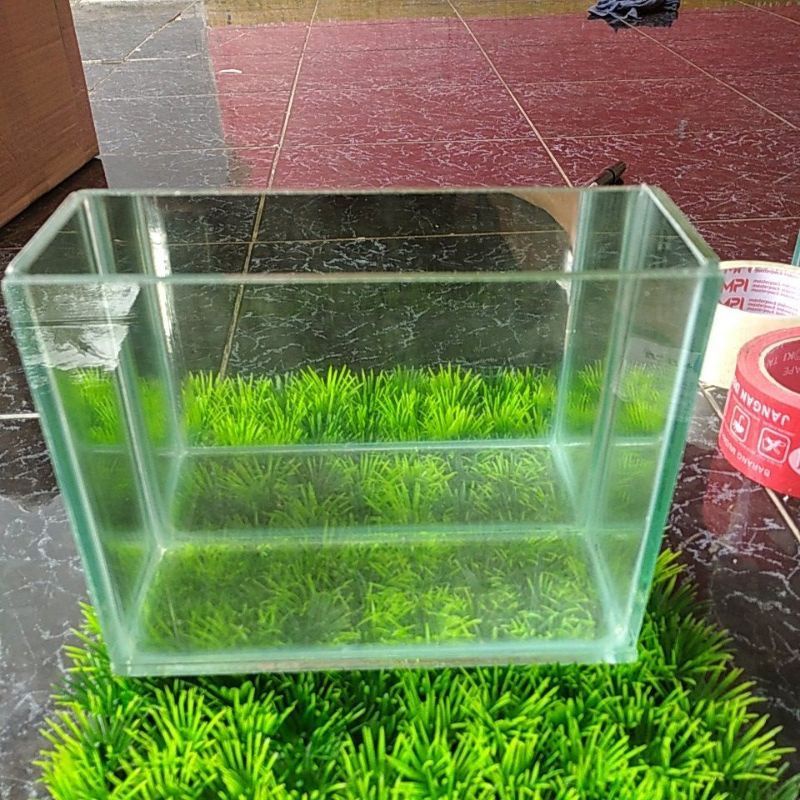 Jual aquarium mini soliter cermin ikan cupang 14x8x14 | Shopee Indonesia