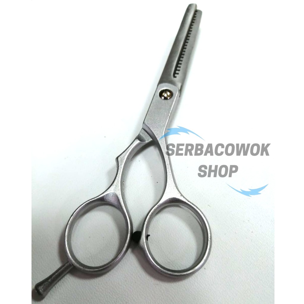 Jual Gunting Sasak Rambut Stainless Penipis Potong Rambut Barbershop ...