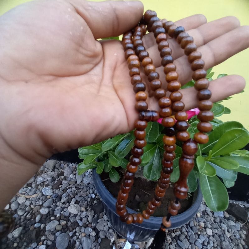 Jual Tasbih stigi 7mm tasbih stigi laut asli | Shopee Indonesia