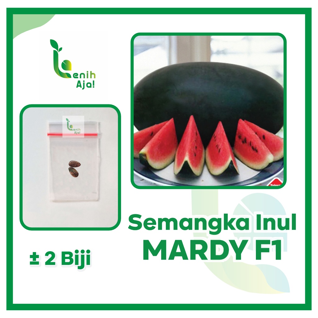 Jual Benih Bibit Biji Super Buah Semangka Inul Merah Mardy F1 Bibit ... Jual Benih Bibit Biji Super Buah Semangka Inul Merah Mardy F1 Bibit ...