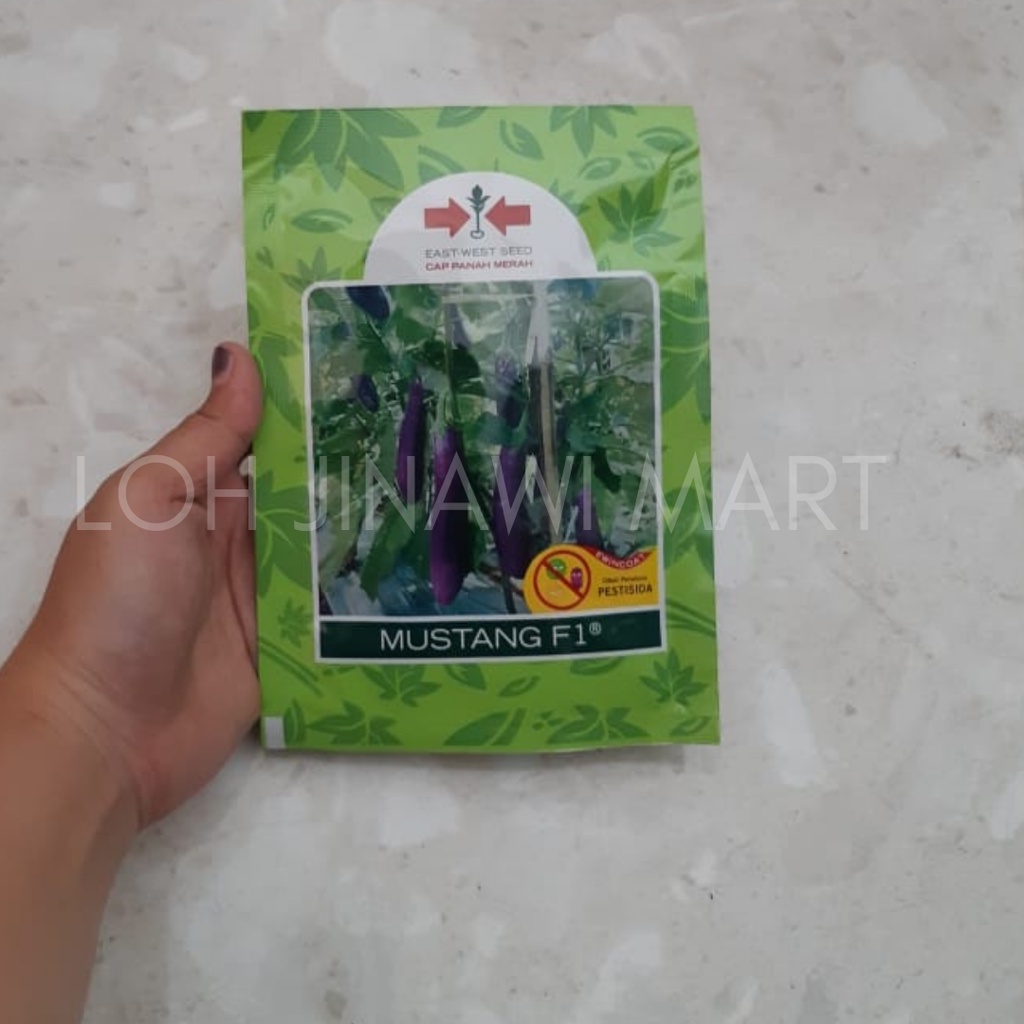 Jual Benih Terong Ungu Hibrida Mustang F1 Cap Panah Merah isi 1100 butir benih murah | Shopee ...