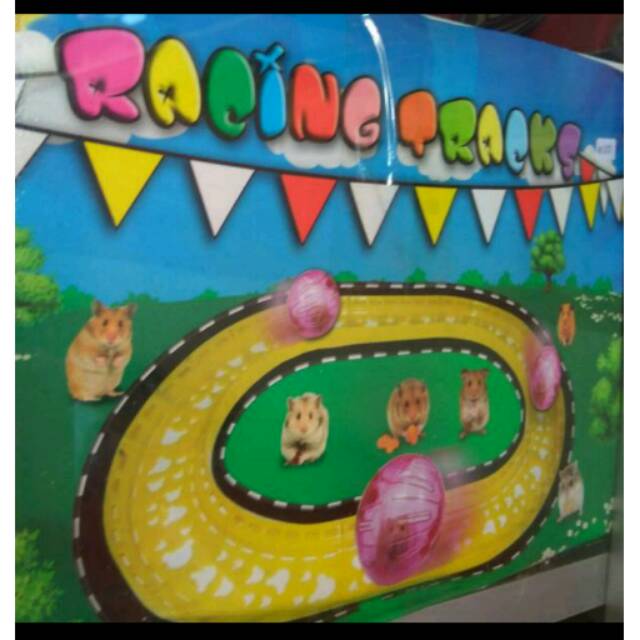 Jual Racing track alat olahraga hamster (kedai satwa) | Shopee Indonesia