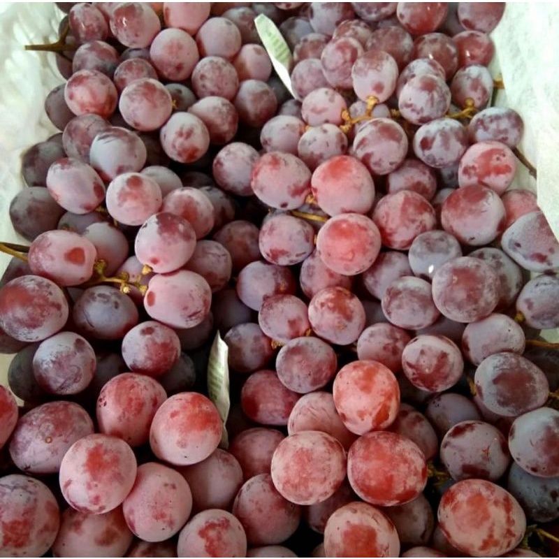 Jual buah anggur red globe imoport /box keranjang | Shopee Indonesia