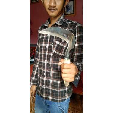 Jual cungkir (sabit kecil) | Shopee Indonesia