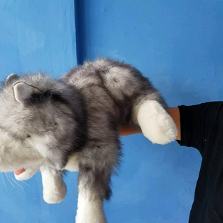 Jual Boneka tangan serigala (wolf) | Shopee Indonesia