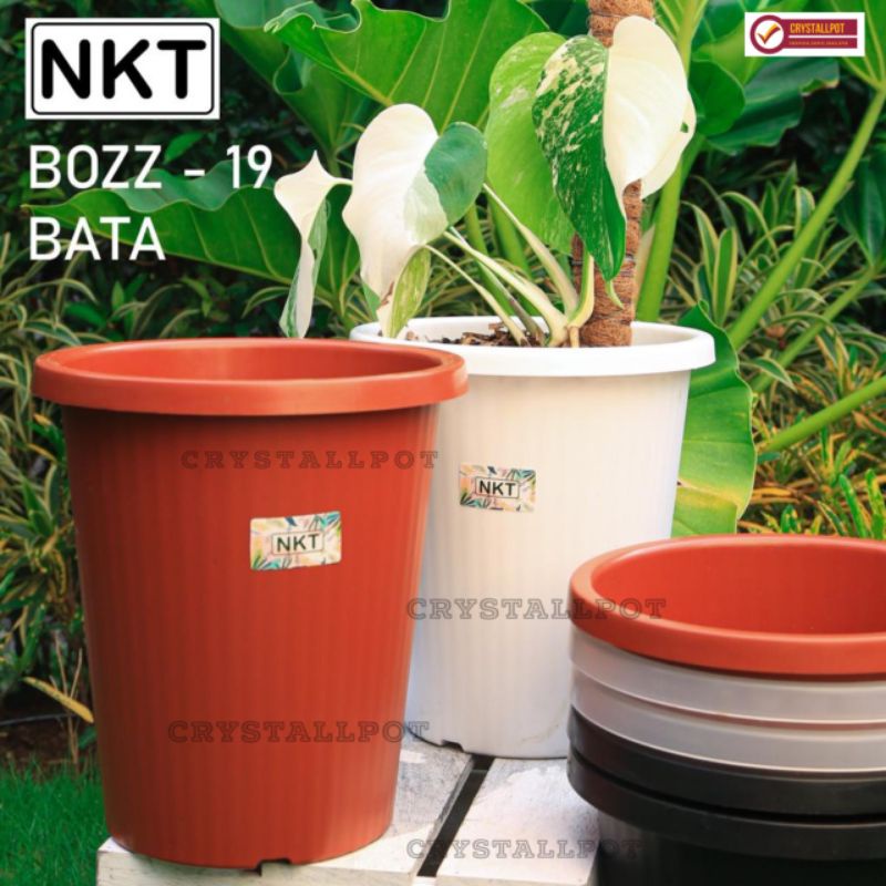 Jual pot bunga tanaman tinggi NKT BOZZ 19 MERAH BATA - NKT BOZZ 19 ...