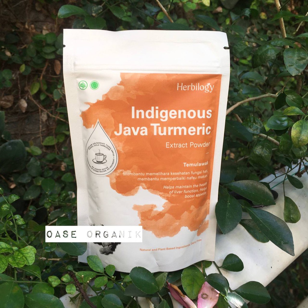 Jual Herbilogy Java Turmeric (Temulawak) Extract Powder 100g | Shopee ...