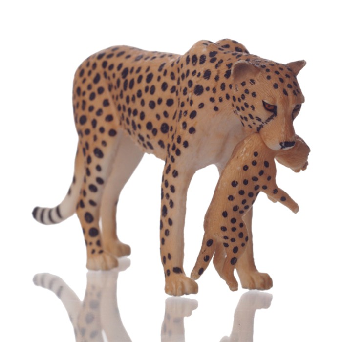 Jual Mojo female cheetah (207319340) | Shopee Indonesia